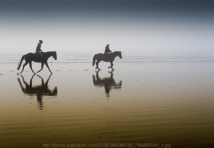 Fotos espectaculares de reflejos – Motus Anima