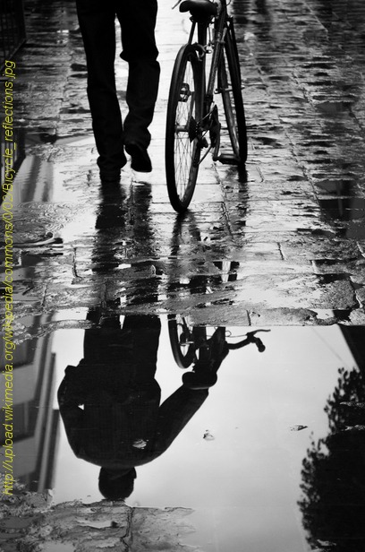 Fotos espectaculares de reflejos – Motus Anima